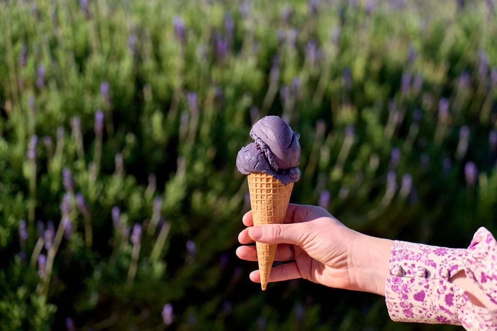 What's On in Perth This Month & Beyond