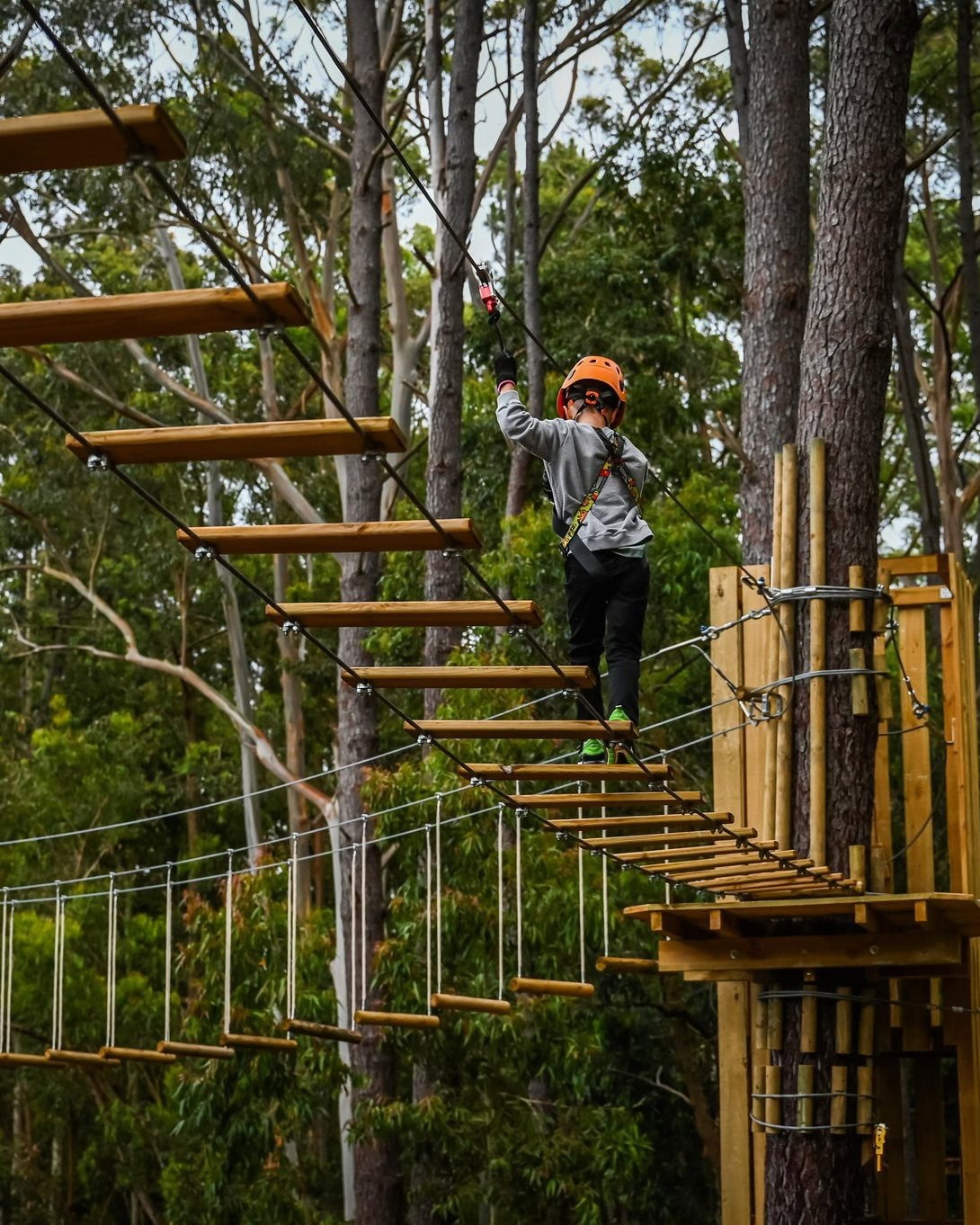 The Best School Holiday Activites in Adelaide This April | Sitchu