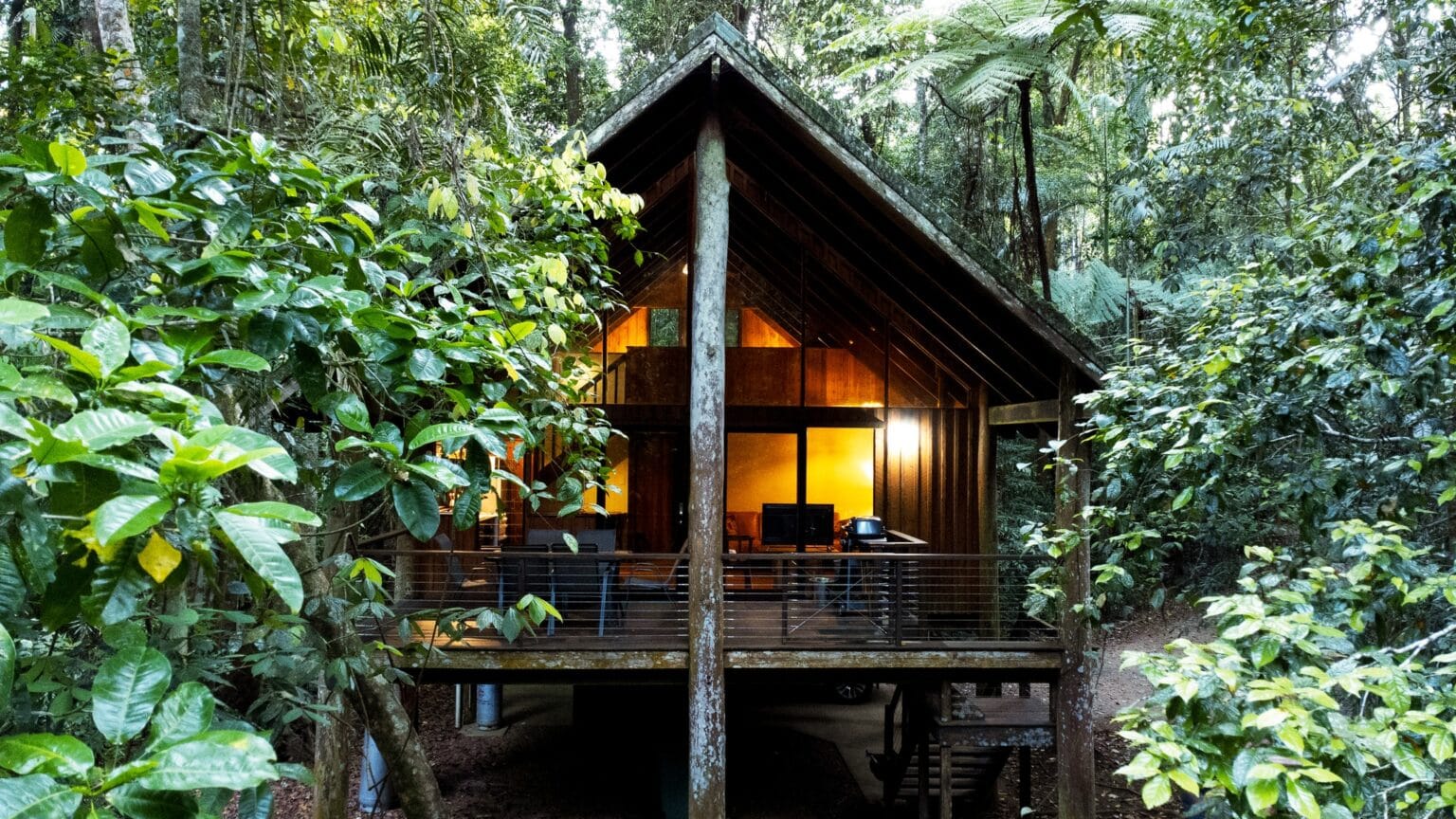 Daintree Rainforest Accommodation | Sitchu Brisbane